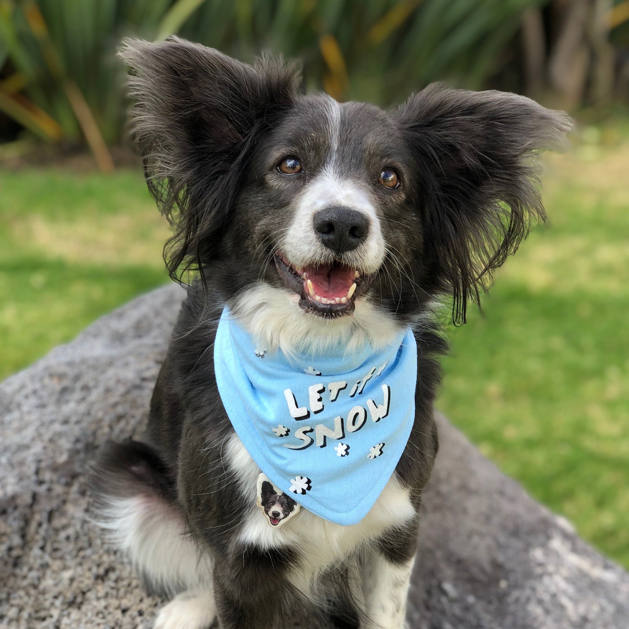 Pawsome Xmas – Pawsome Shop